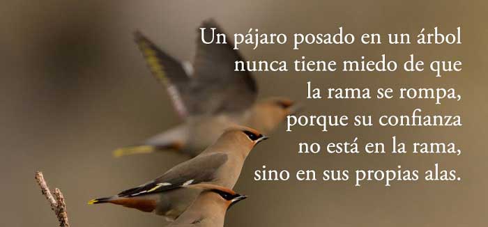 101 frases de motivación y para motivarte 101 frases de motivación y para motivarte