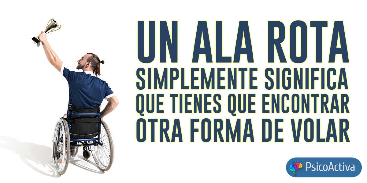 90 frases inspiradoras sobre aves y libertad