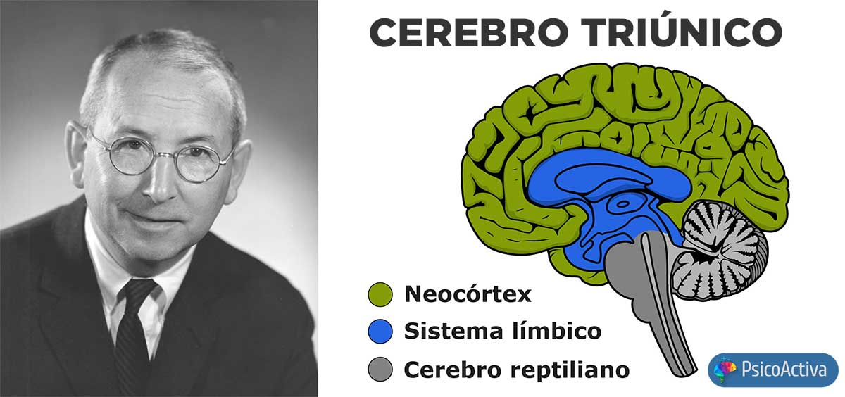 Biografía de Paul MacLean (1913-2007)