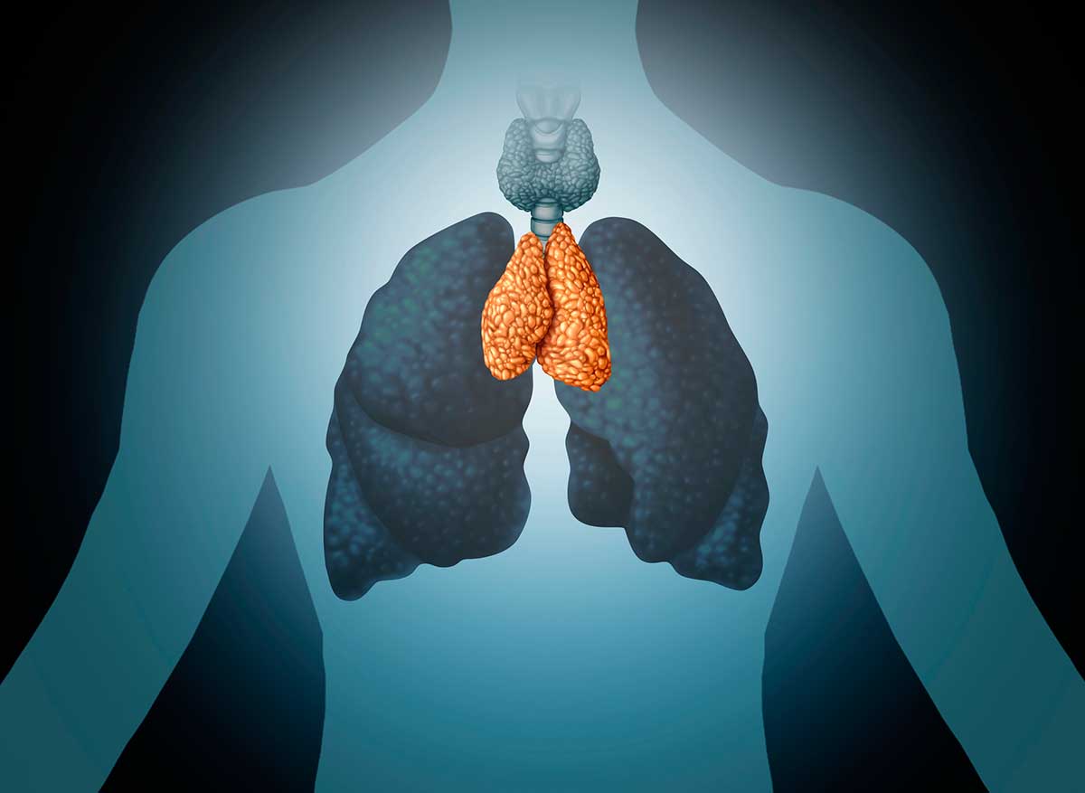 ¿Qué es el cortisol y la glándula timo, y para qué sirven? - PsicoActiva