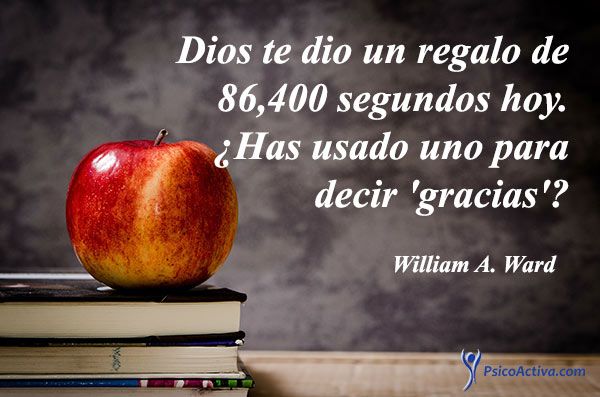 +101 FRASES de GRATITUD y agradecimiento maravillosas