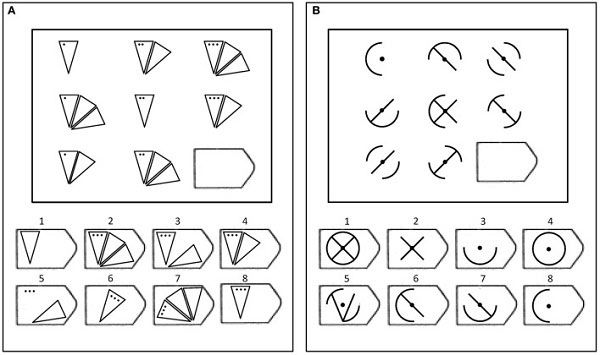 Cómo funcionan y qué evalúan las Matrices de Raven